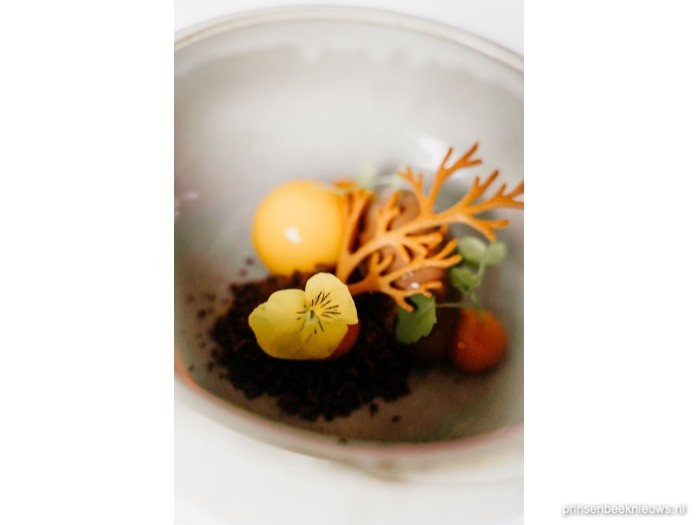 Chef’s Dinner 15.000 euro voor Team Inske | Prinsenbeeknieuws